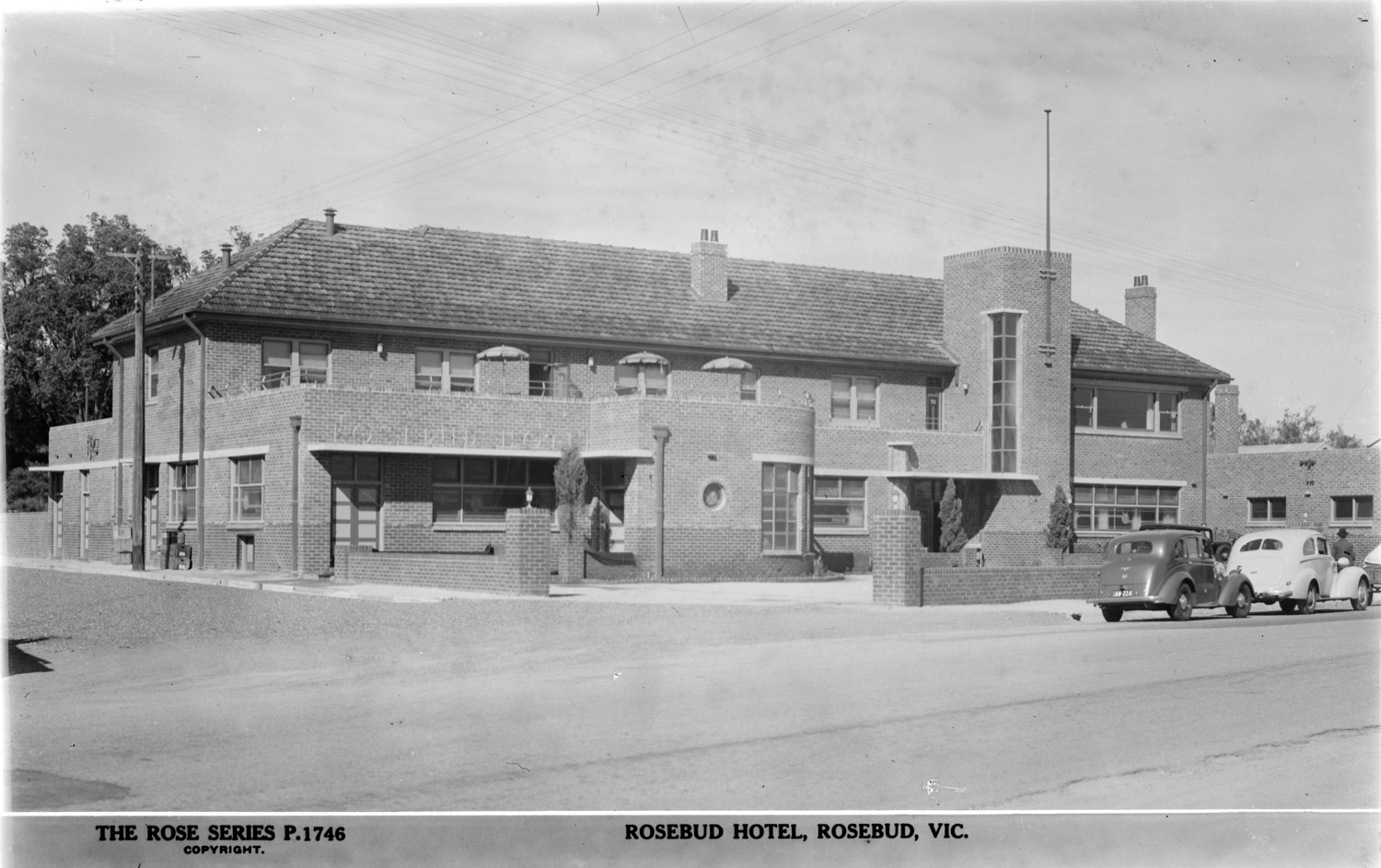 Rosebud - Origins: Mornington Peninsula